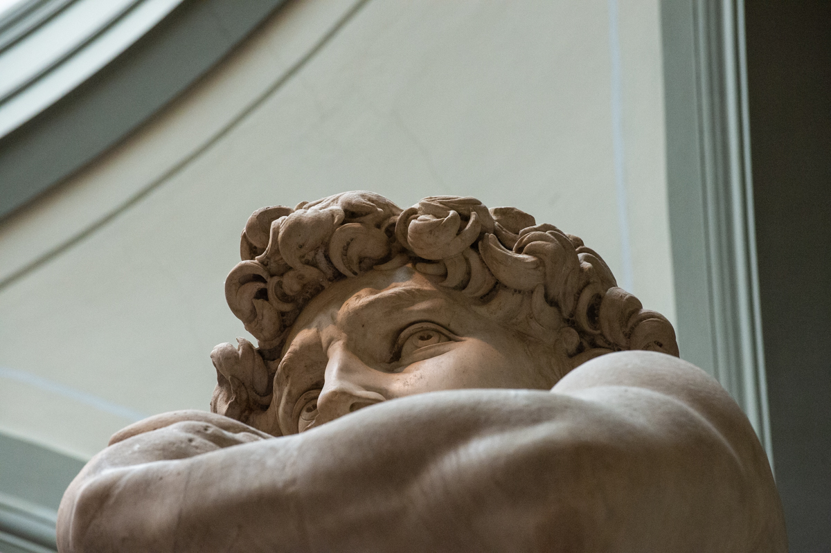 David Up Close | Kate's Queen City Notes